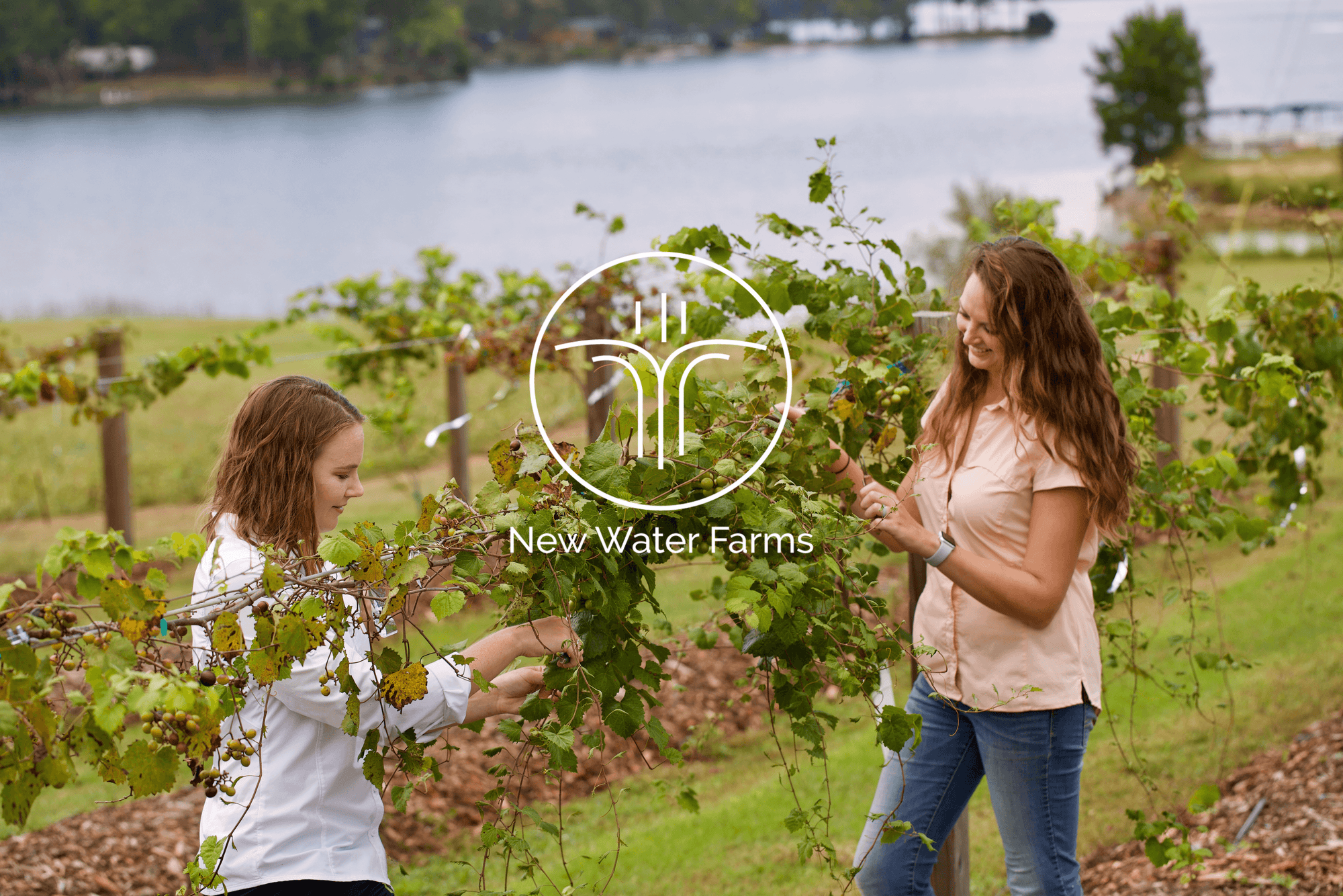 Welcome to New Water Farms!